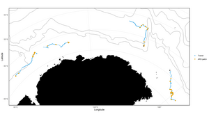 Tag team: a tale of two Antarctic blue whales | EurekAlert!