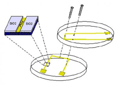 Measuring Electrical Arcs at t [IMAGE] | EurekAlert! Science News Releases