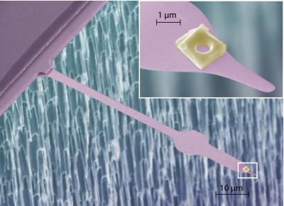 Superconductors and Superfluid [IMAGE] | EurekAlert! Science News Releases