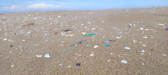 Microplastic [IMAGE] | EurekAlert! Science News Releases