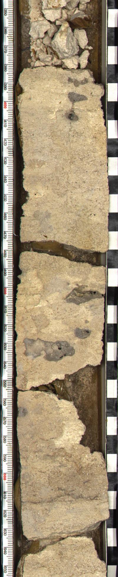 Mangrove Root Casts Below Suba [IMAGE] | EurekAlert! Science News Releases