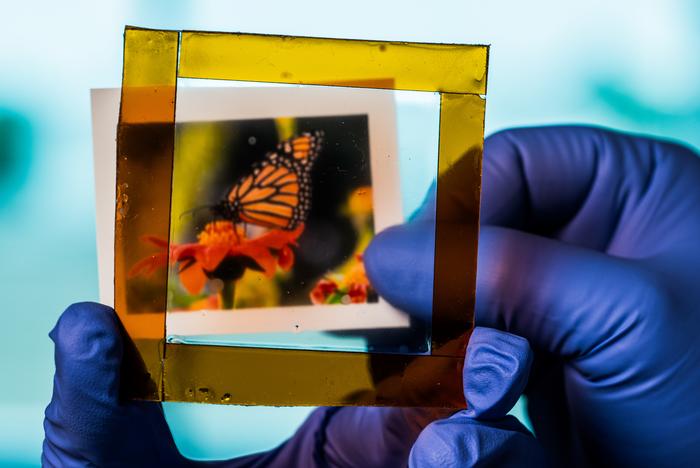 thermochromic polymer blend [IMAGE] | EurekAlert! Science News Releases