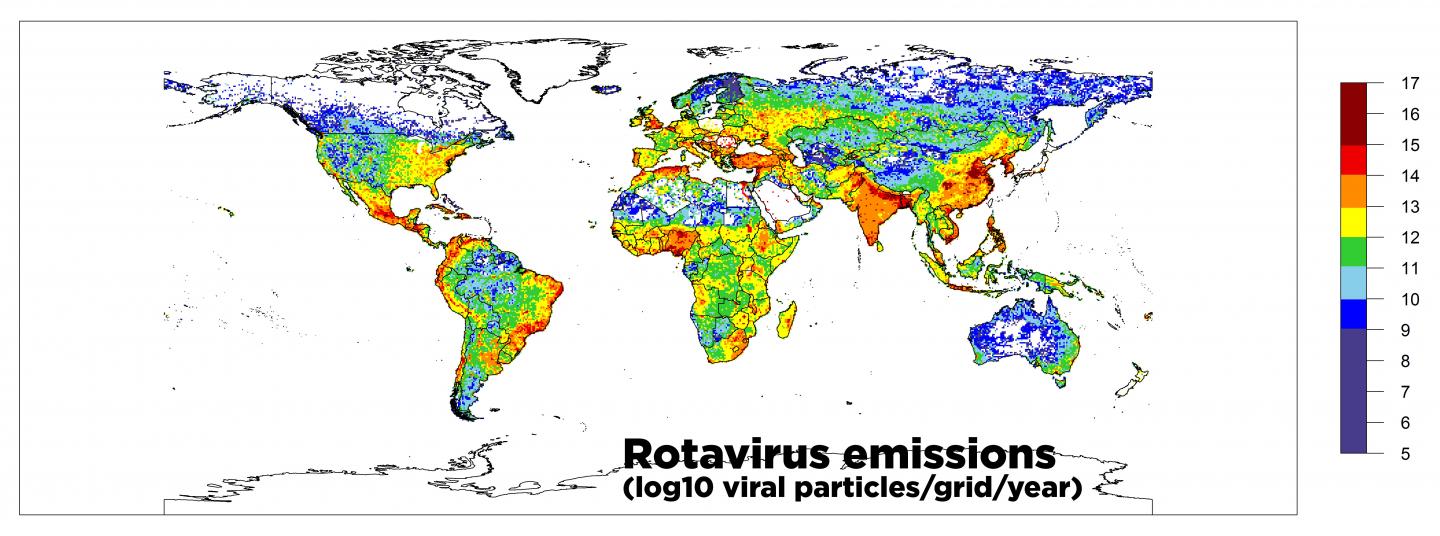 Tracking the viral parasites cruising our wat | EurekAlert!