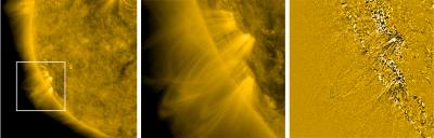 Spicules on the Solar Surface [IMAGE] | EurekAlert! Science News Releases