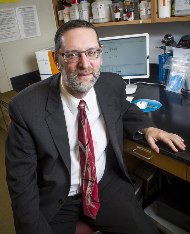 GARP2 accelerates retinal degeneration in a m | EurekAlert!