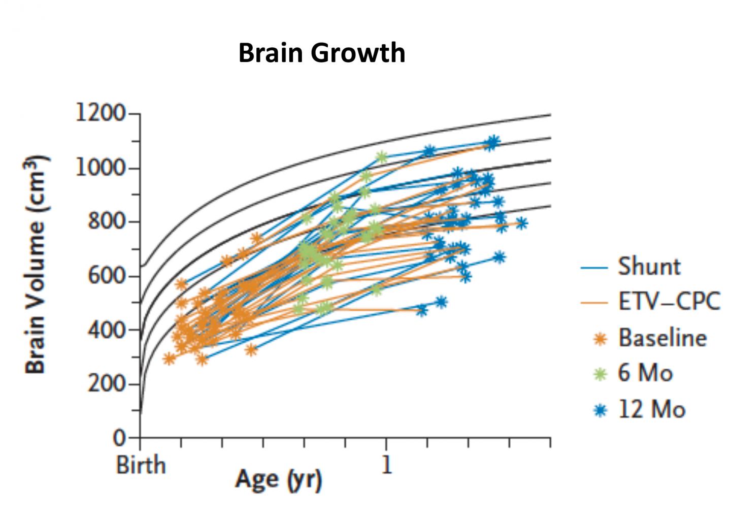 Brain Growth [IMAGE] | EurekAlert! Science News Releases