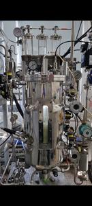 Bacteria make thermally stable plastics simil | EurekAlert!