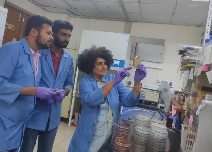 Targeting spermidine production to combat eme | EurekAlert!