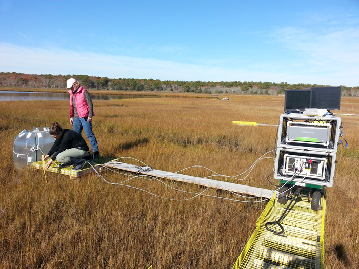 As temps rise, low marsh emits more carbon ga | EurekAlert!
