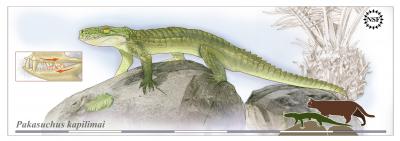 Pakasuchus kapilimai (2 [IMAGE] | EurekAlert! Science News Releases