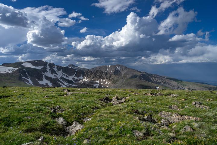 Alpine ecosystems struggle to recover from ni | EurekAlert!