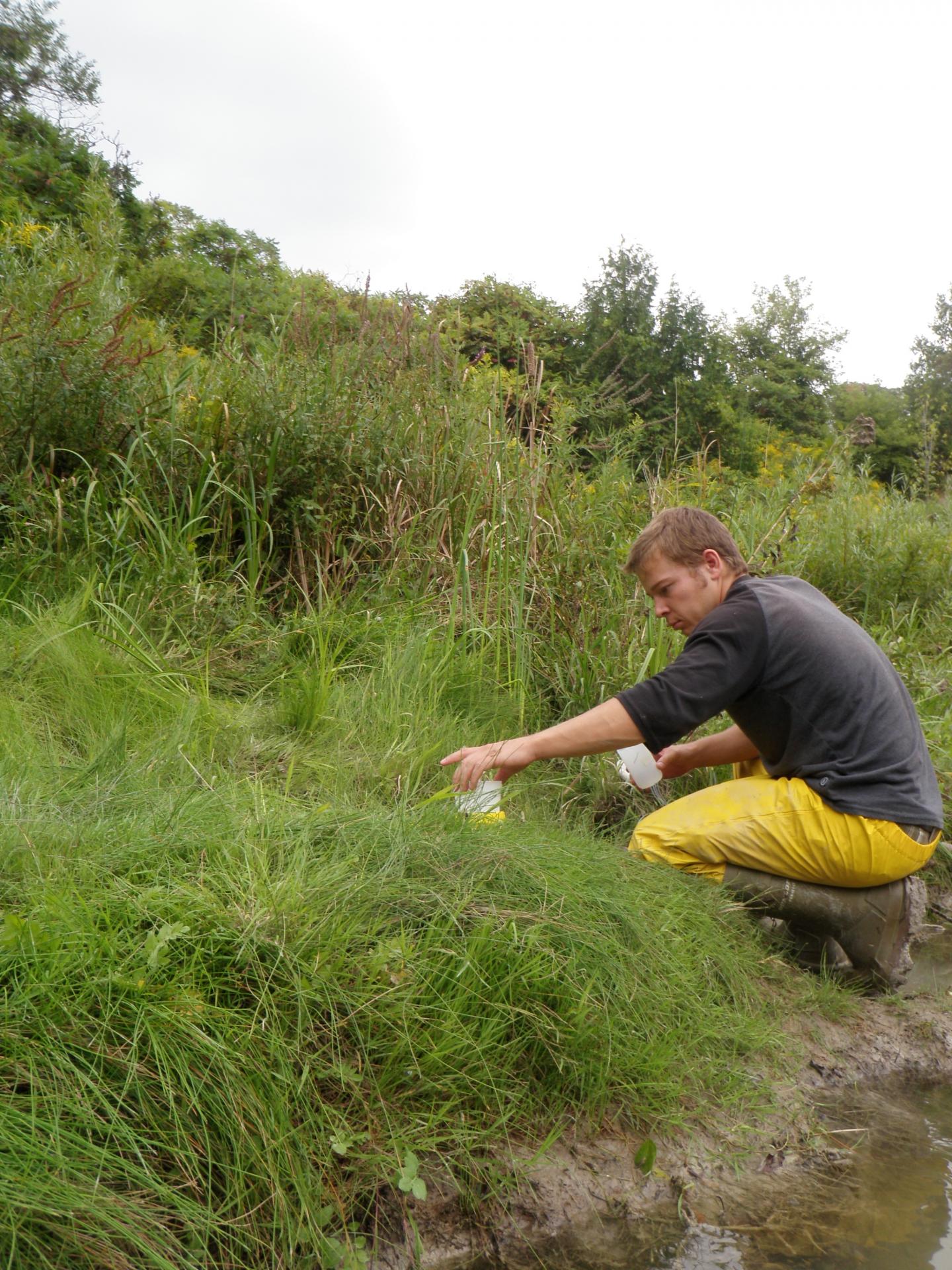 Collecting Groundwater Samples [IMAGE] | EurekAlert! Science News Releases