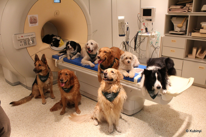 Similar neural mechanisms underlie dog-owner | EurekAlert!