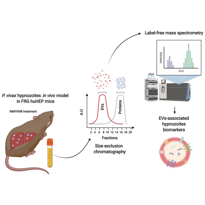 Study sets the basis for identifying biomarke | EurekAlert!