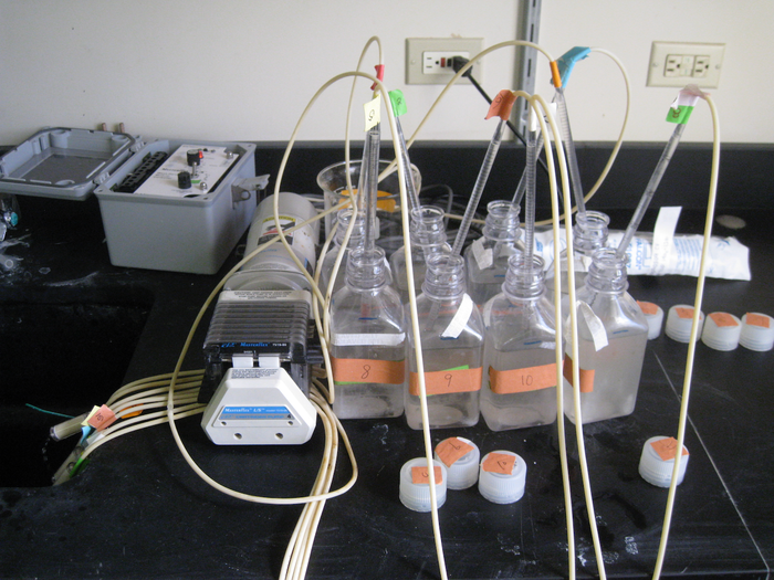 Sample filtration [IMAGE] | EurekAlert! Science News Releases