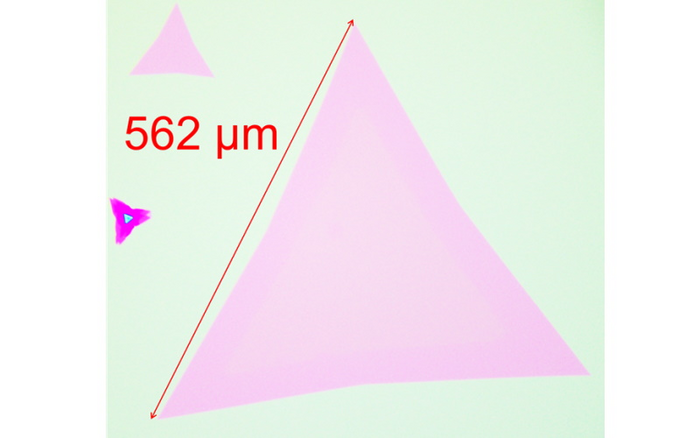 Optical microscopy images [IMAGE] | EurekAlert! Science News Releases