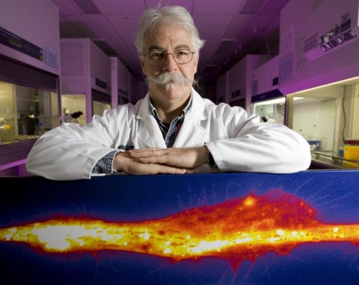 Alan Mackay-Sim, Griffith Univ [IMAGE] | EurekAlert! Science News Releases