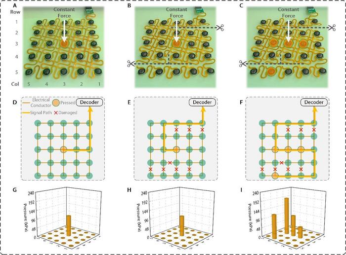 Figure 2 Physical damage resis [IMAGE] | EurekAlert! Science News Releases