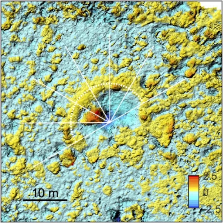 Figure 1 [IMAGE] | EurekAlert! Science News Releases