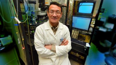 Dr. Lin Mei, Georgia Regents U [IMAGE] | EurekAlert! Science News Releases