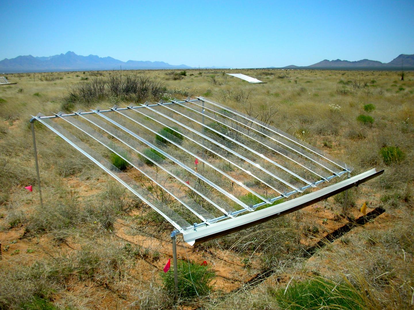Desert Grassland Study Plot [IMAGE] | EurekAlert! Science News Releases