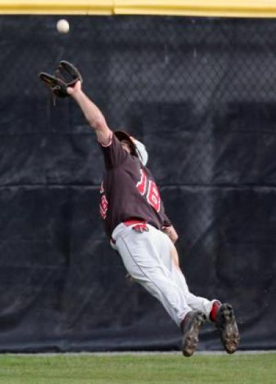 A Routine Fly Ball? [IMAGE] | EurekAlert! Science News Releases