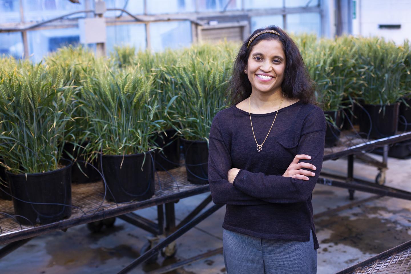 Dr. Elizabeth Vargis [IMAGE] | EurekAlert! Science News Releases