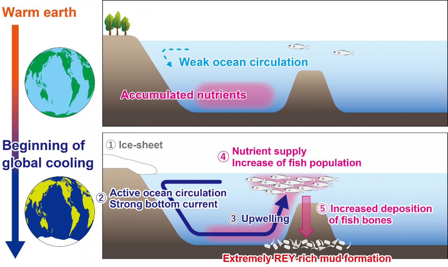 The Eocene [IMAGE] | EurekAlert! Science News Releases