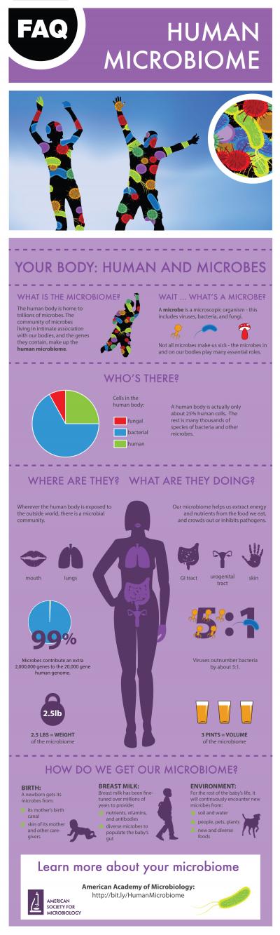 Report answers questions about the human micr | EurekAlert!