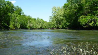 The Cahaba River [IMAGE] | EurekAlert! Science News Releases