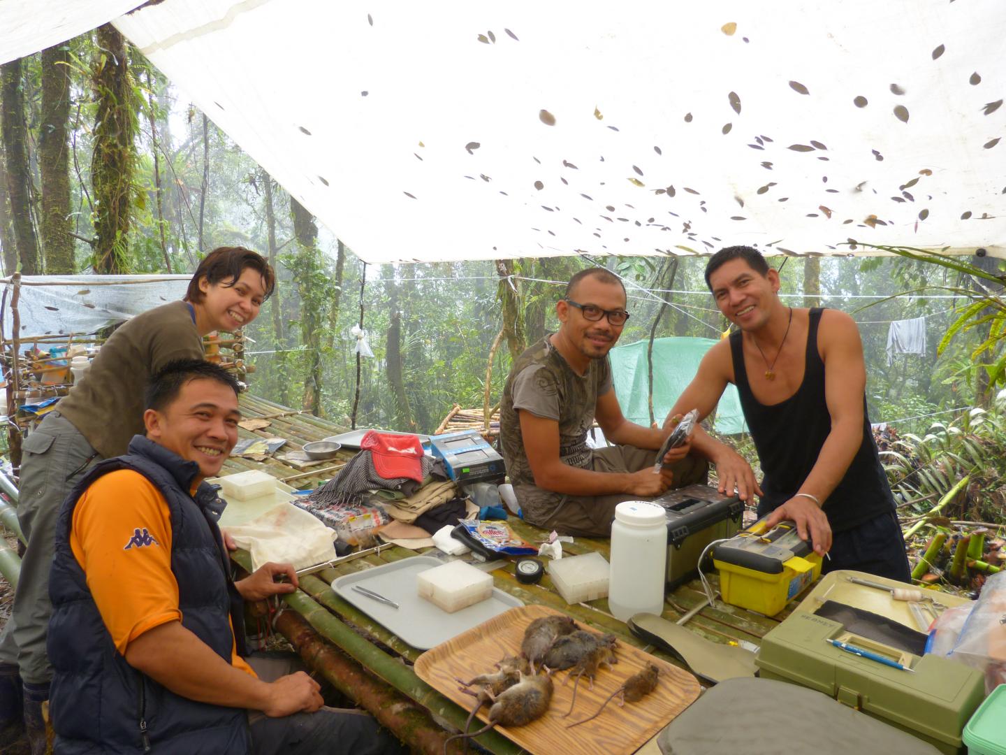 Scientist Team [IMAGE] | EurekAlert! Science News Releases