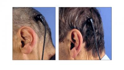 Skull-Based Power [IMAGE] | EurekAlert! Science News Releases