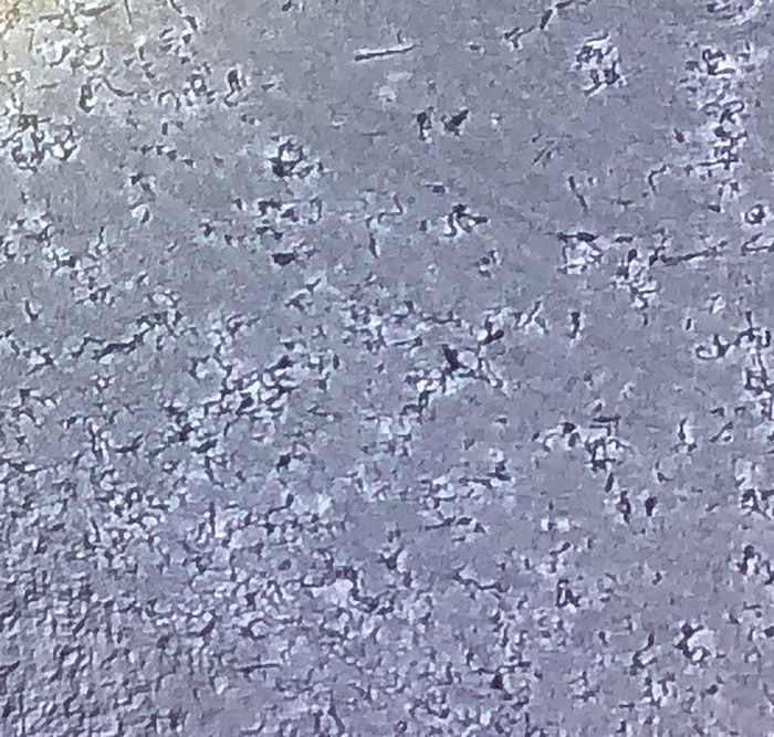 Lithium microstructures [IMAGE] | EurekAlert! Science News Releases