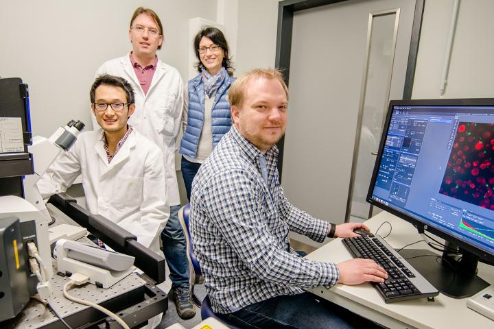 Kaibo Xie, Lars Leichert, Kons [IMAGE] | EurekAlert! Science News Releases