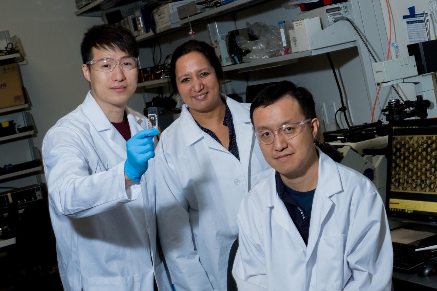 Rice University Research Team, [IMAGE] | EurekAlert! Science News Releases