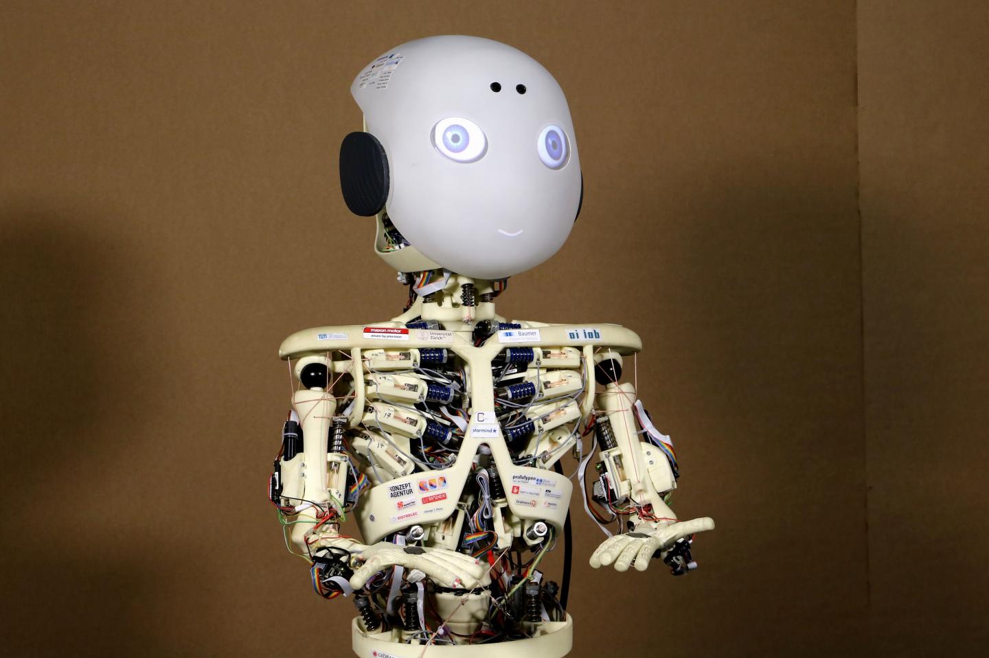 Roboy [IMAGE] | EurekAlert! Science News Releases