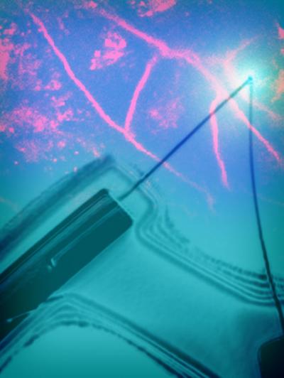 Delivery of a 2-Terminal Nanoscale Electronic | EurekAlert!