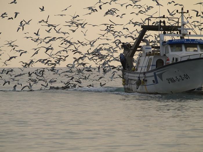 GPS technology to analyse seab [IMAGE] | EurekAlert! Science News Releases