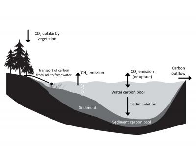 Introducing Freshwater Sources to the Carbon | EurekAlert!