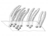 Research shows Earth's earliest animal ecosys | EurekAlert!