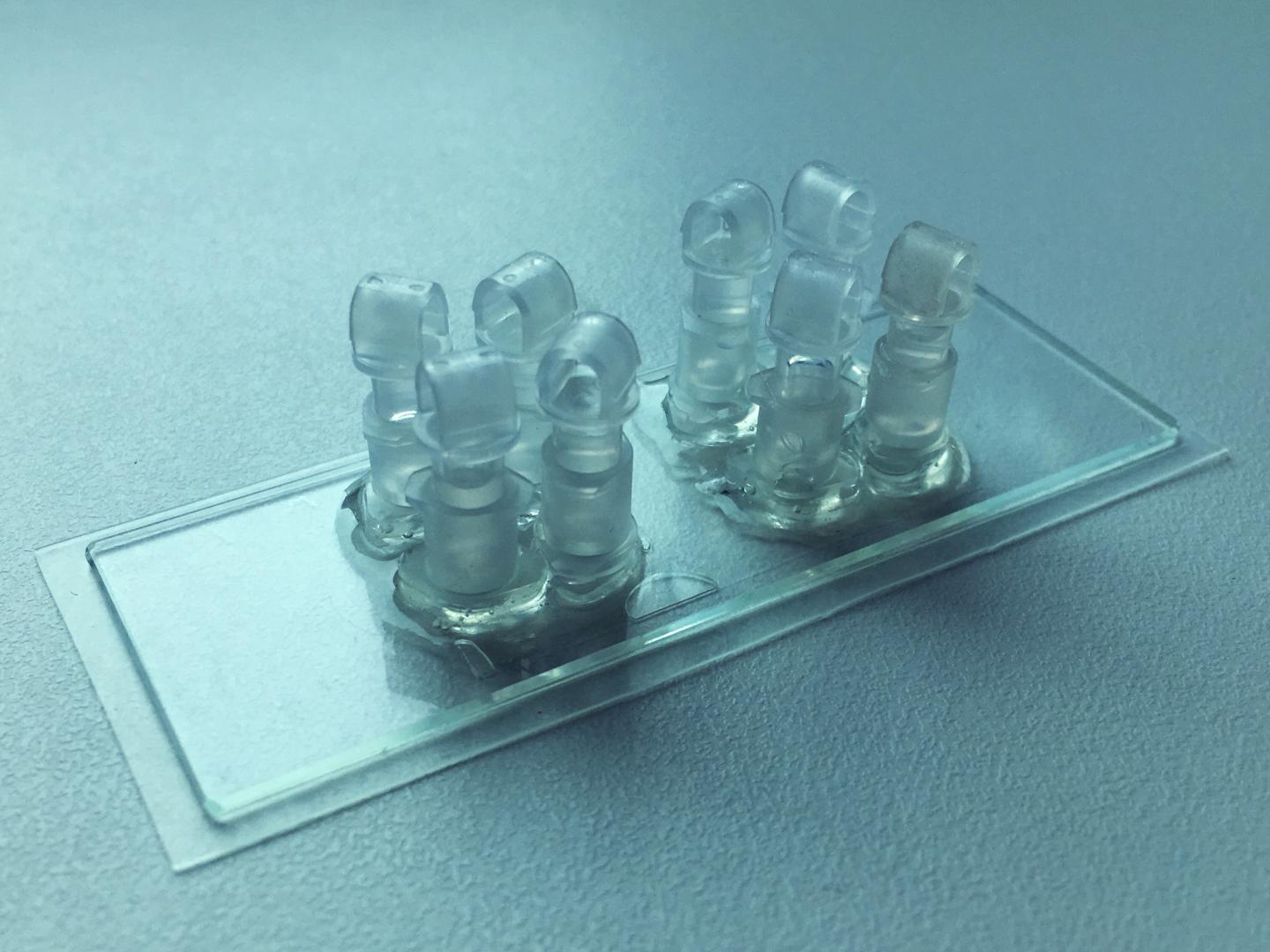 Bio-Chip [IMAGE] | EurekAlert! Science News Releases