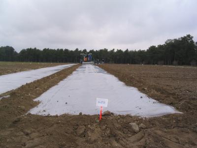 Soil Fumigation [IMAGE] | EurekAlert! Science News Releases