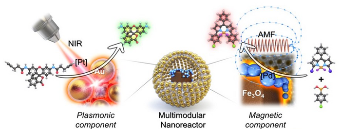 Figure 1 [IMAGE] | EurekAlert! Science News Releases