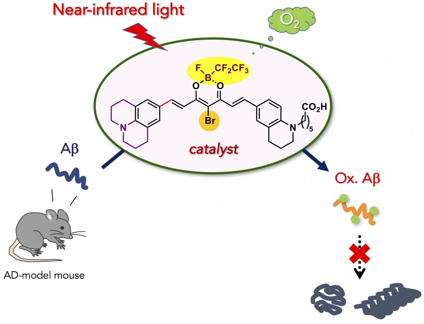 Catalysis Medicine [IMAGE] | EurekAlert! Science News Releases