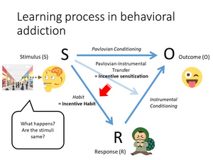 Learning process in behavioral [IMAGE] | EurekAlert! Science News Releases