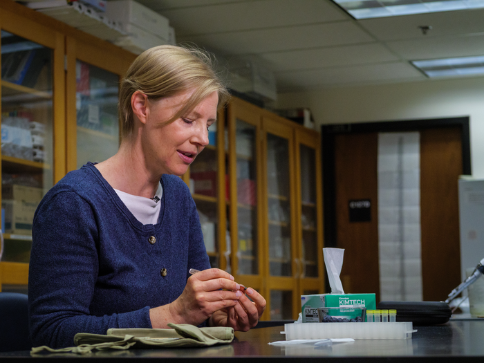 In the lab [IMAGE] | EurekAlert! Science News Releases