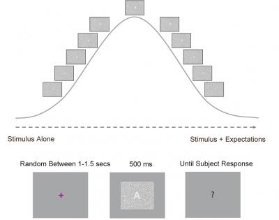 Experimental Setup [IMAGE] | EurekAlert! Science News Releases