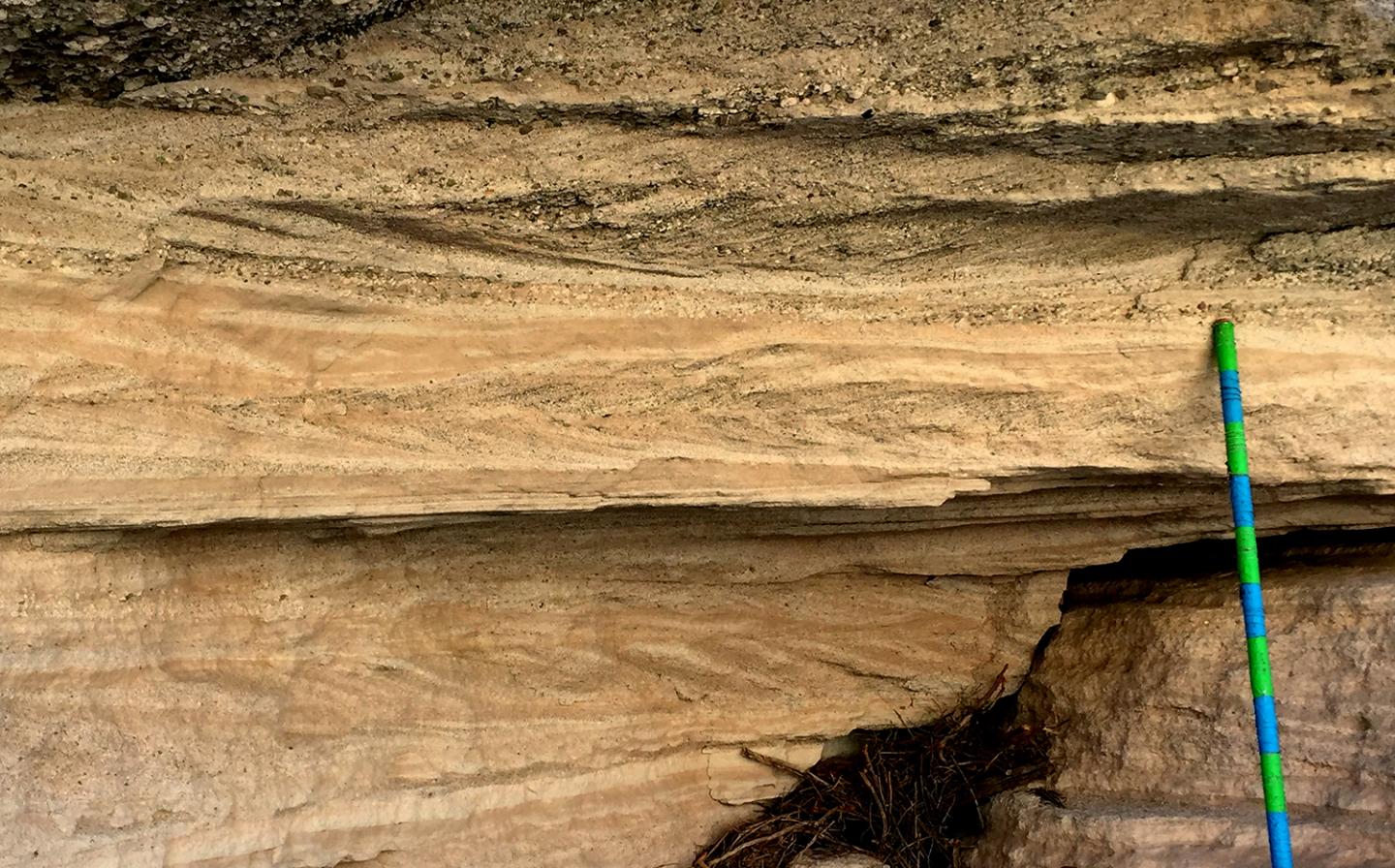 Bouse herringbone pattern [IMAGE] | EurekAlert! Science News Releases