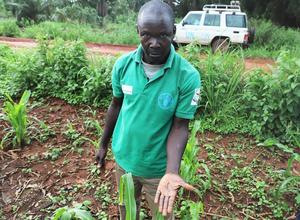 Climate change-induced pests remain major ‘bo | EurekAlert!