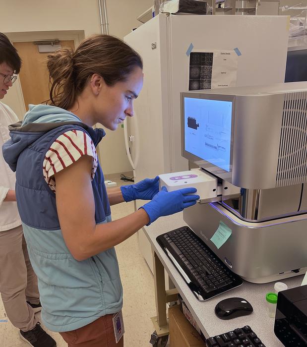 Immune cell research lab Kathl [IMAGE] | EurekAlert! Science News Releases